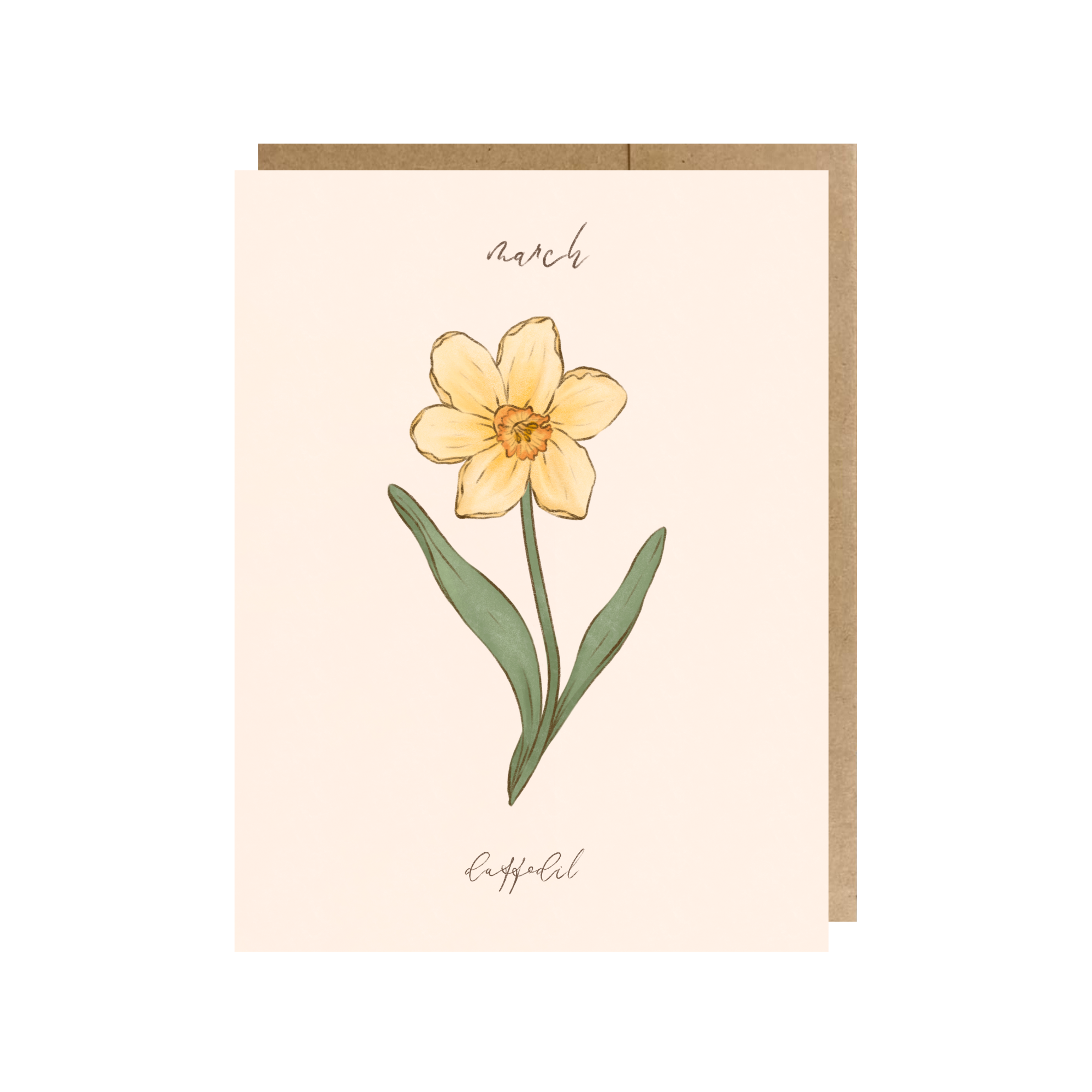 March Birth Month Flower (Daffodil) Greeting Card – The Paper Narwhal
