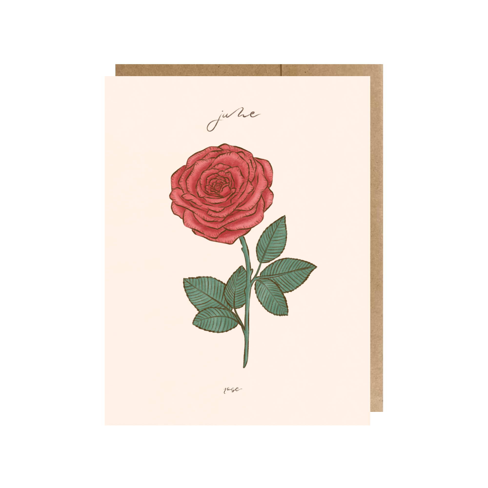 June Birth Month Flower (Rose) Greeting Card – The Paper Narwhal