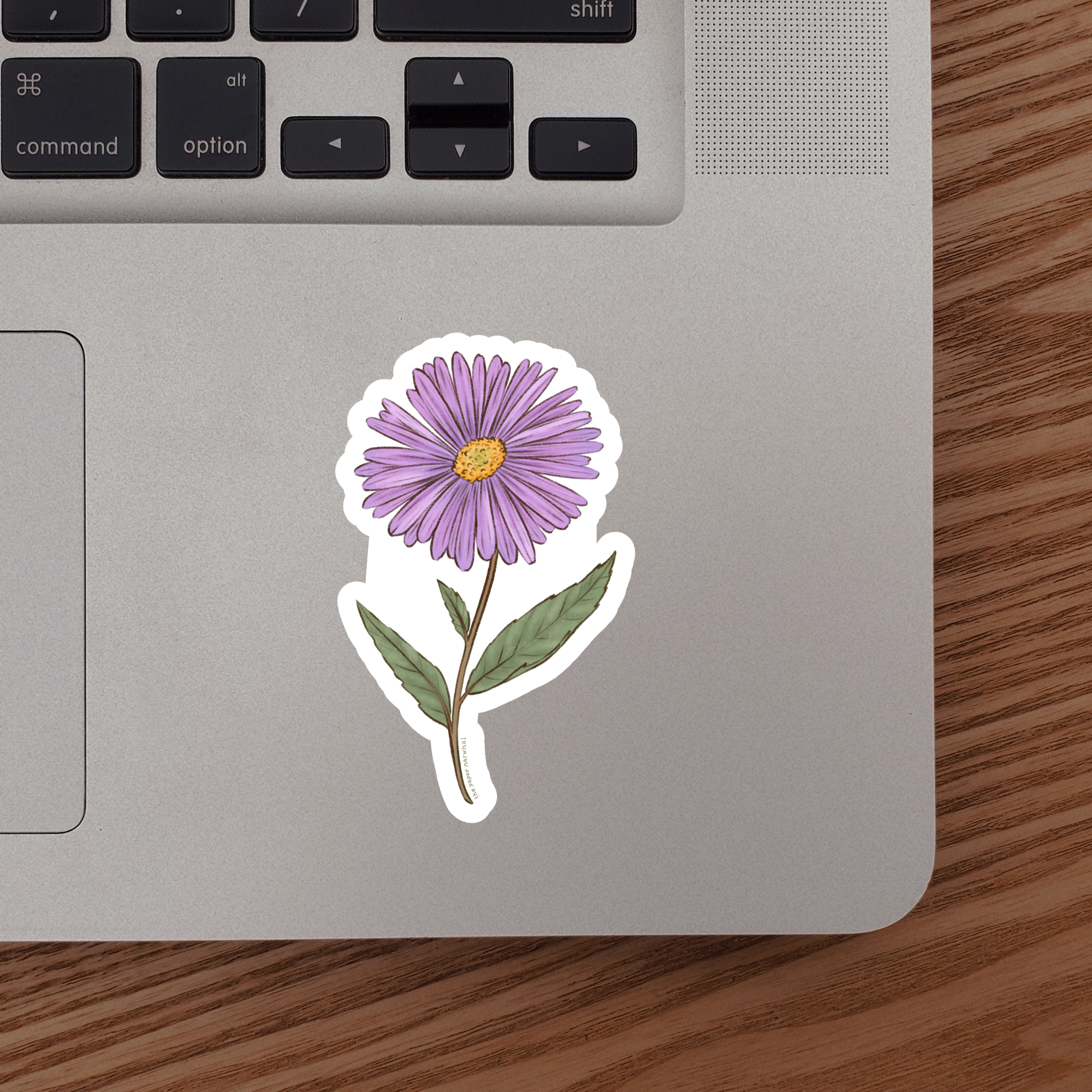 Aster (September Birth Month Flower) Sticker – The Paper Narwhal